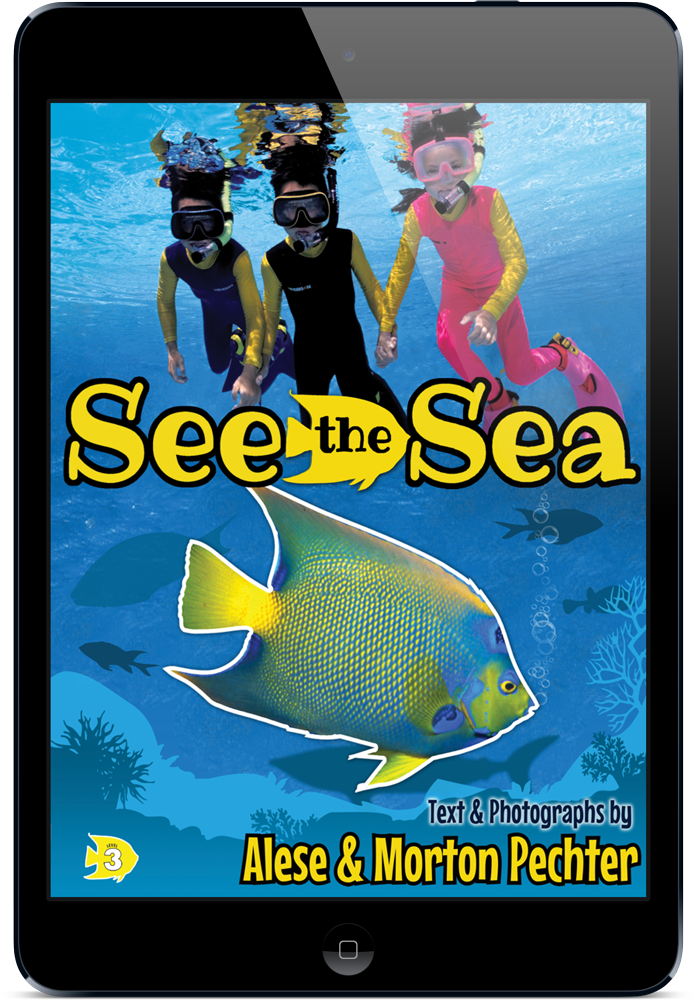 Best Publishing Company - See the Sea